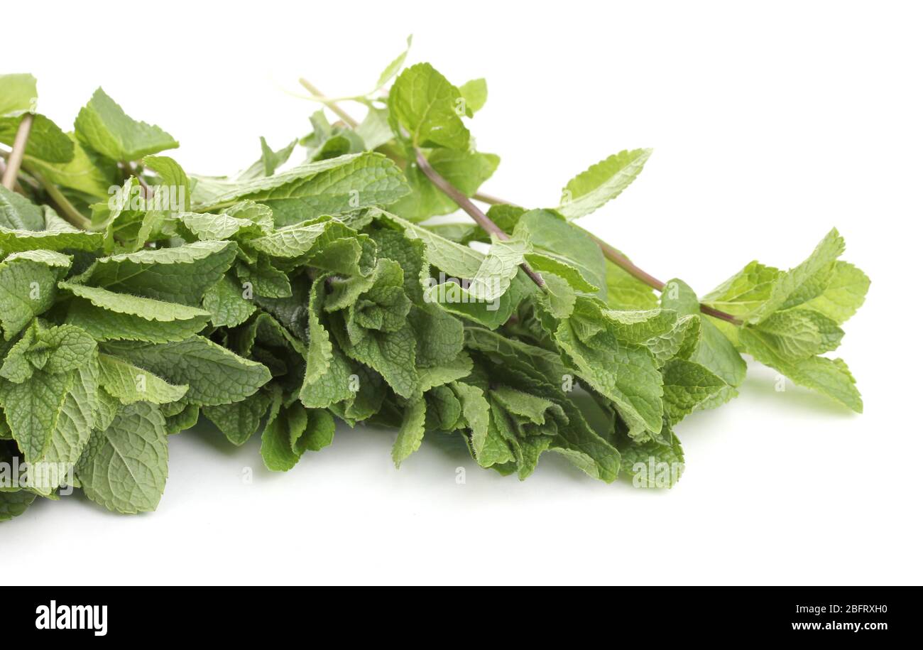 Fresh mint close-up isolated on white Stock Photo - Alamy