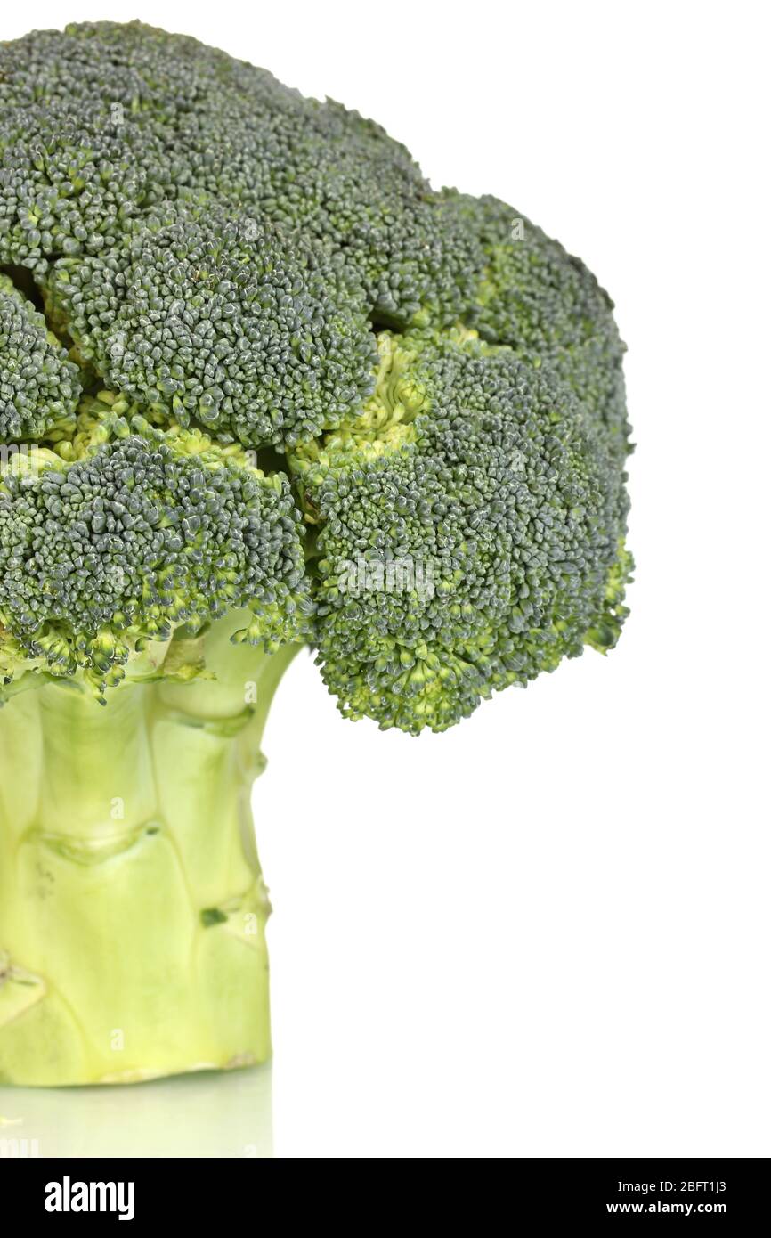 Fresh broccoli close-up isolated on white Stock Photo - Alamy