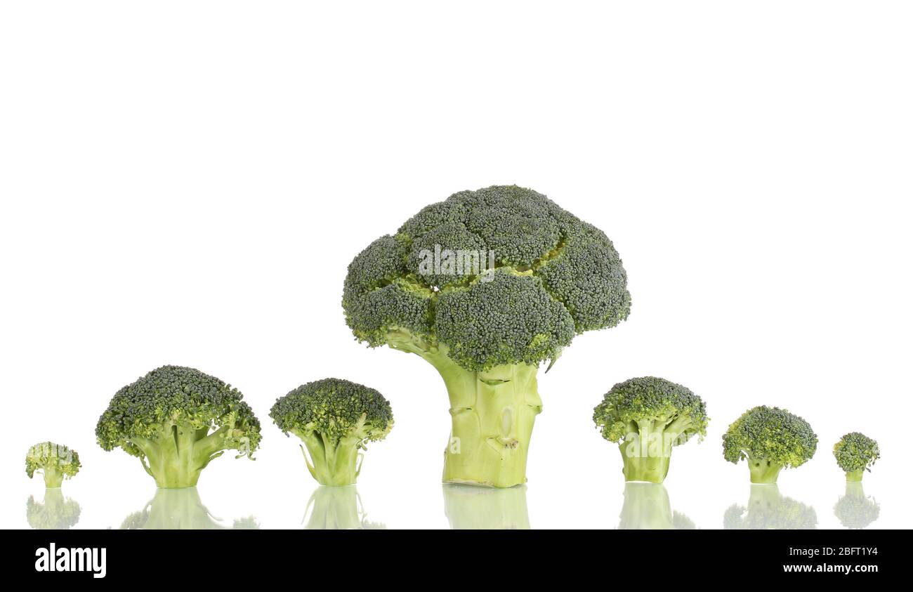 Fresh broccoli in line isolated on white Stock Photo - Alamy