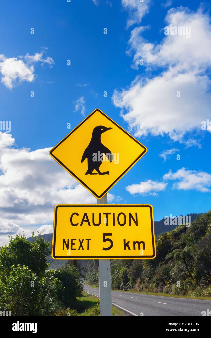 Blue penguin road crossing hi-res stock photography and images - Alamy