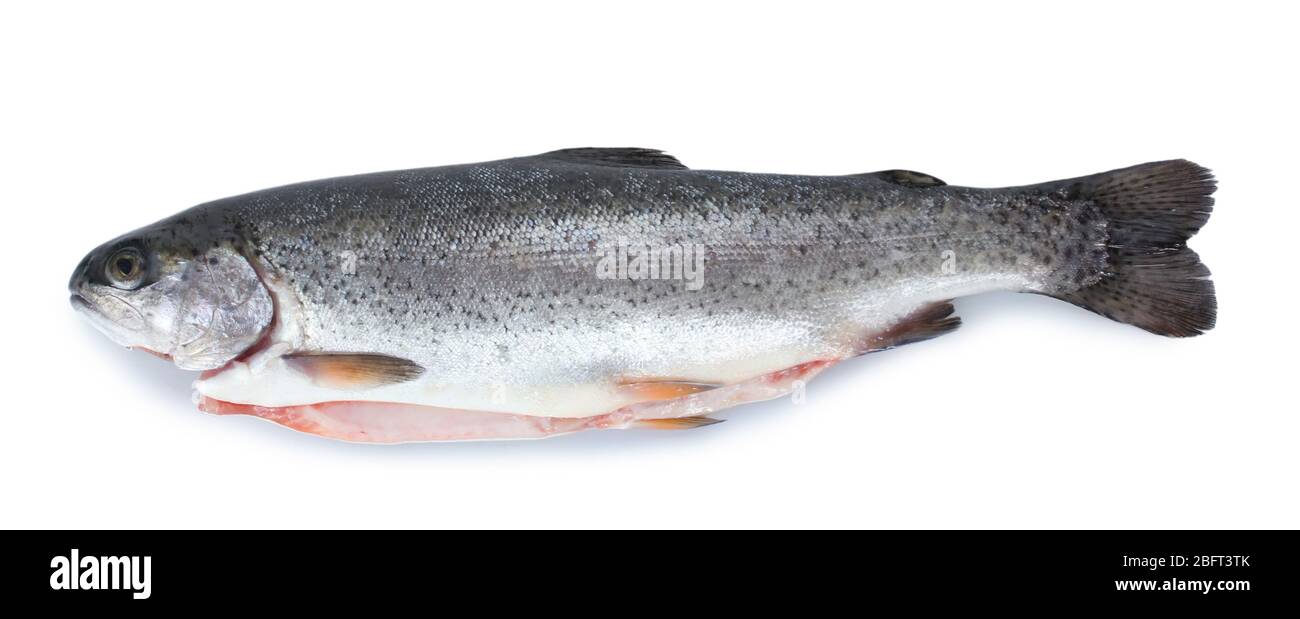 Fresh fish isolated on white Stock Photo - Alamy