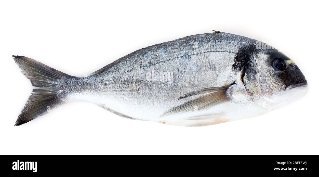 Fresh sea fish fishery Cut Out Stock Images & Pictures - Alamy