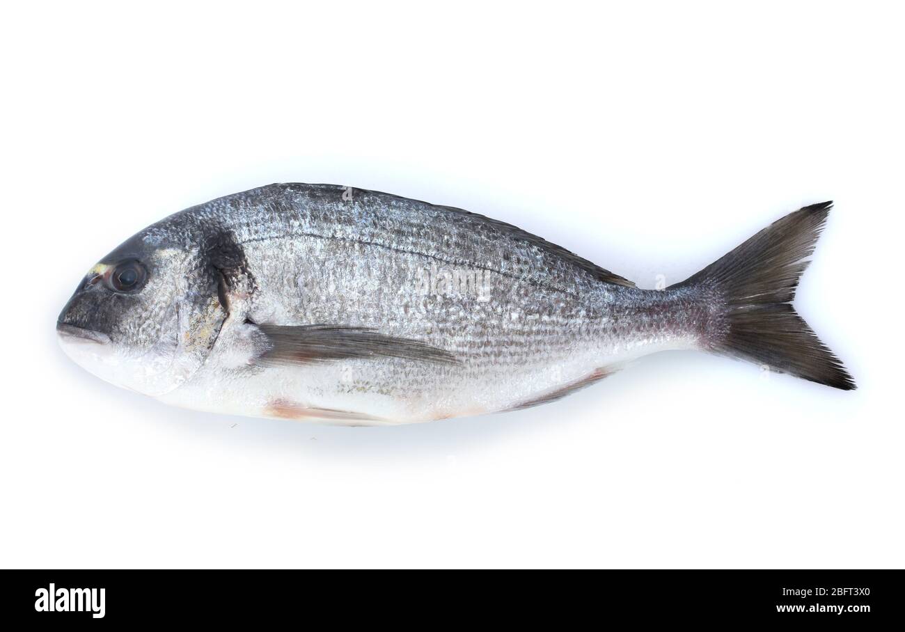 Fresh fish isolated on white Stock Photo - Alamy