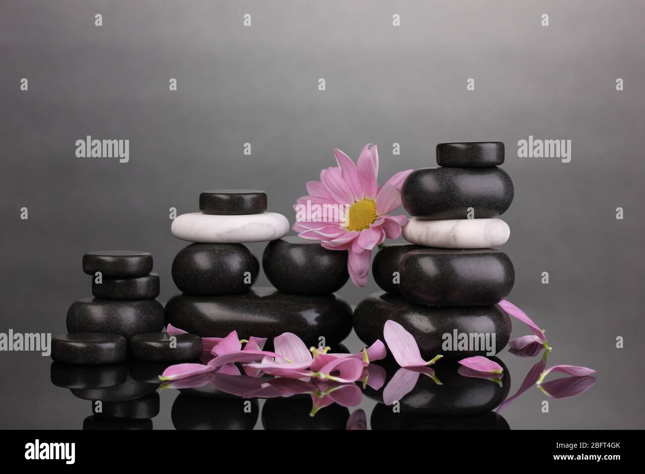 Spa stones with petals and flower on grey background Stock Photo - Alamy