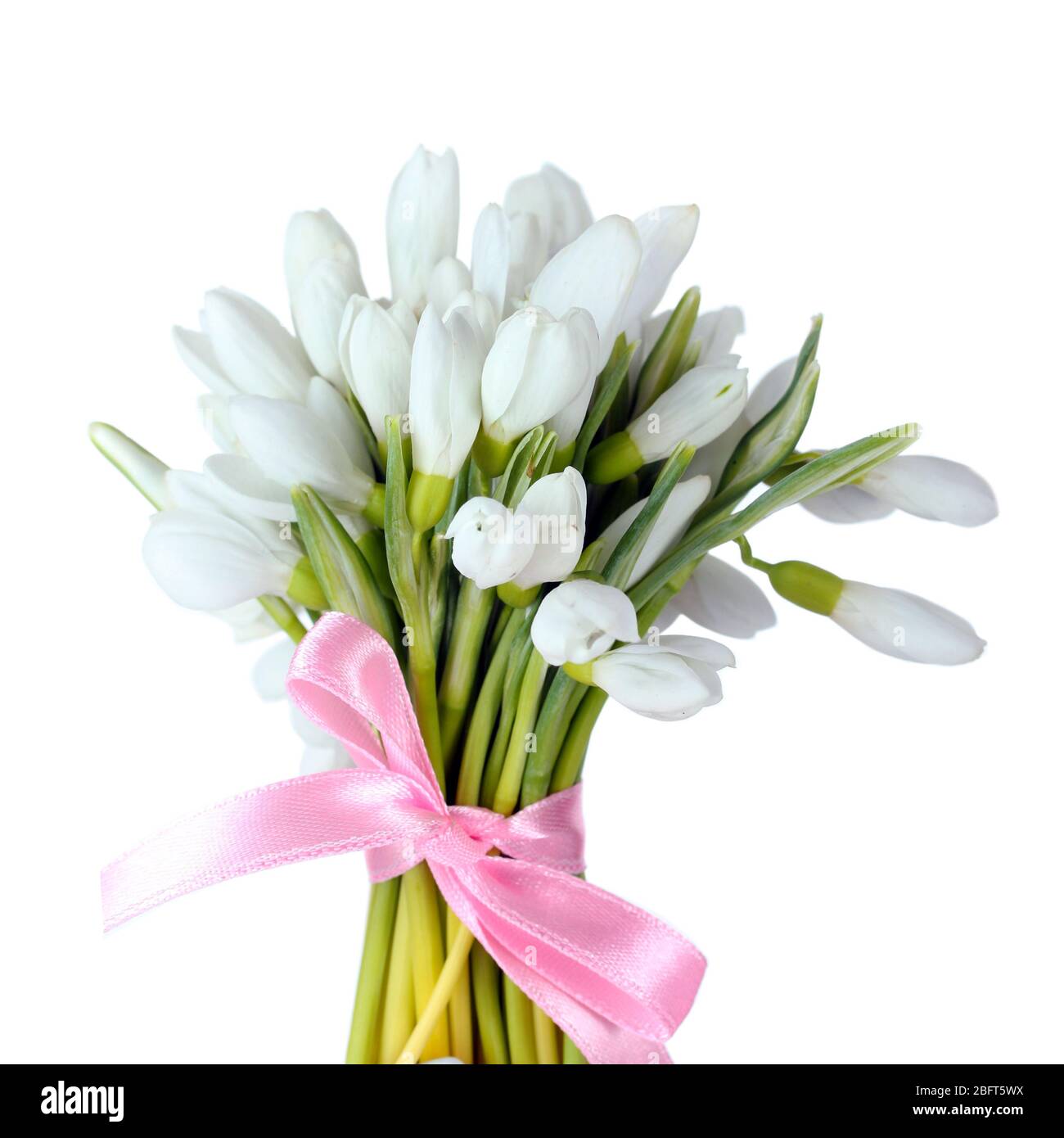 beautiful bouquet of snowdrops isolated on white Stock Photo - Alamy