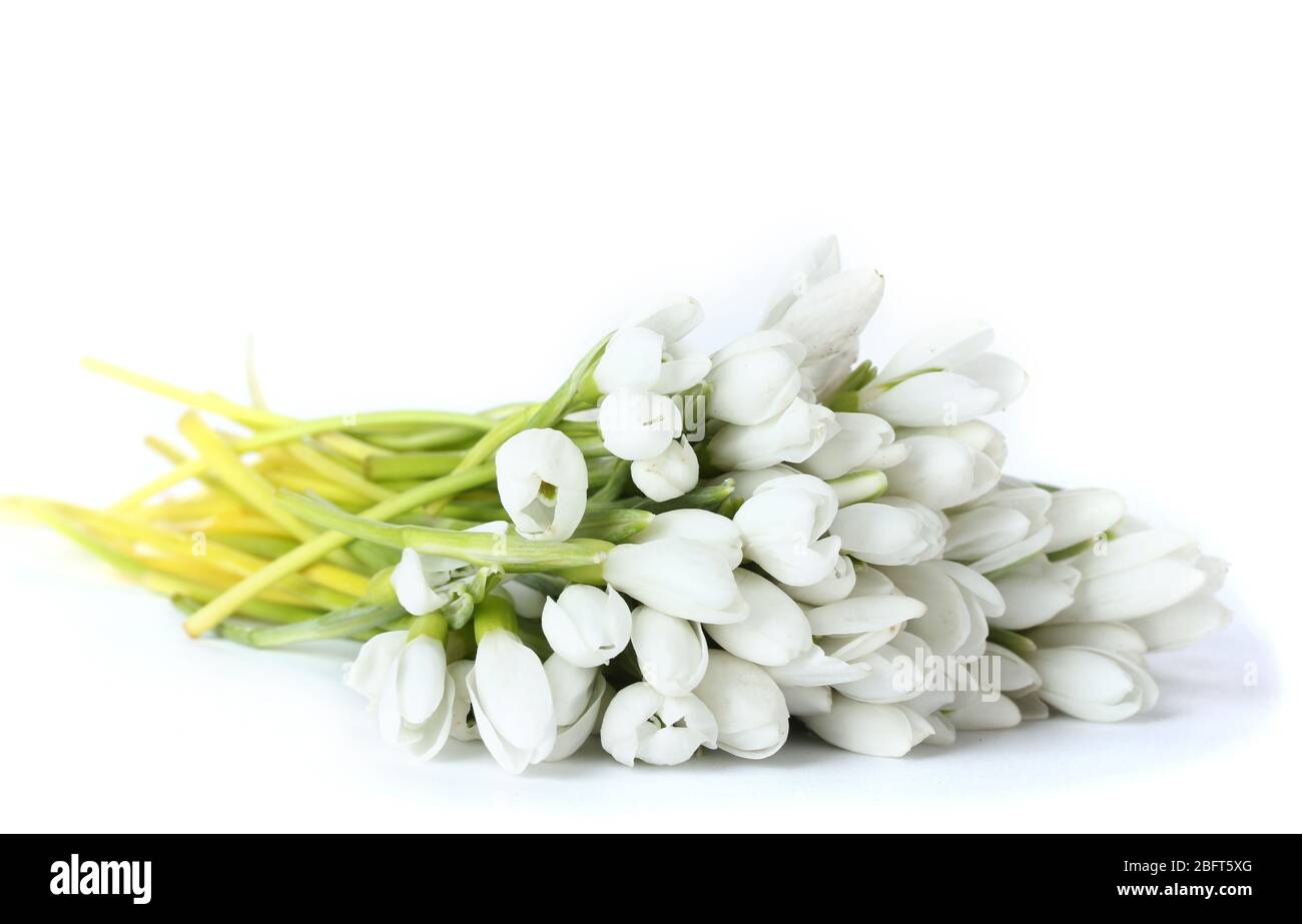 beautiful bouquet of snowdrops isolated on white Stock Photo - Alamy