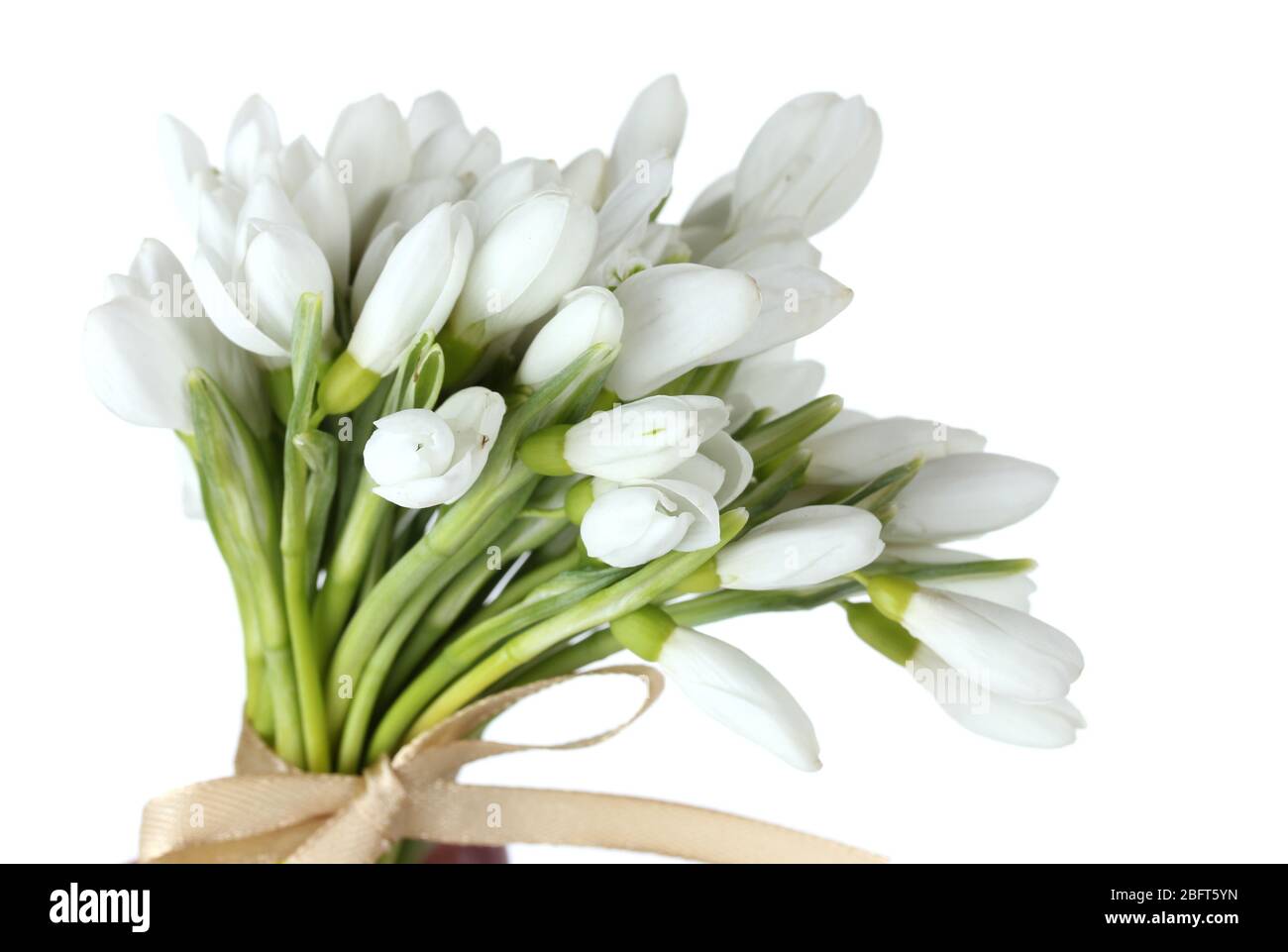 Beautiful snowdrops on snow Cut Out Stock Images & Pictures - Alamy