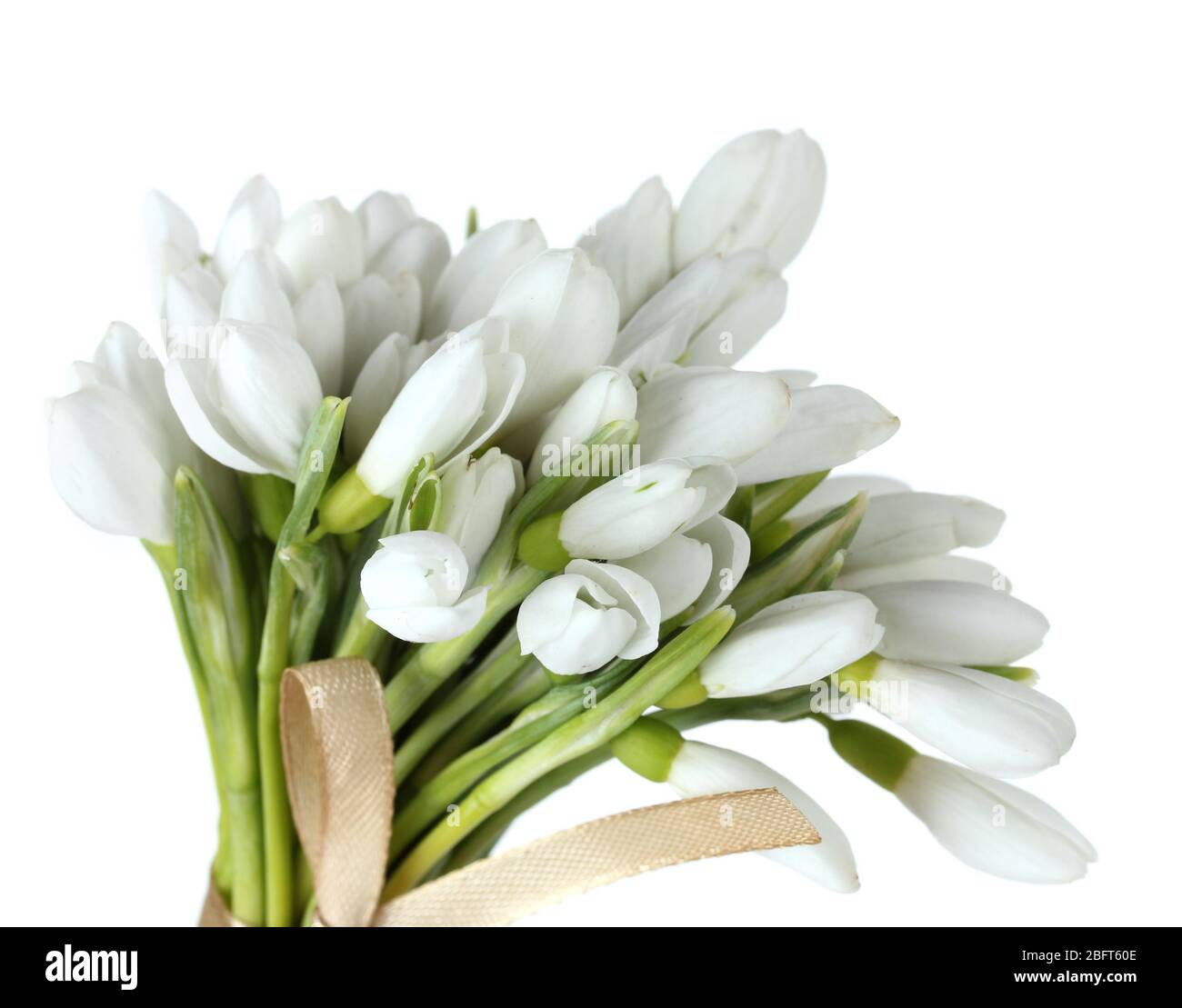Beautiful snowdrops on snow Cut Out Stock Images & Pictures - Alamy