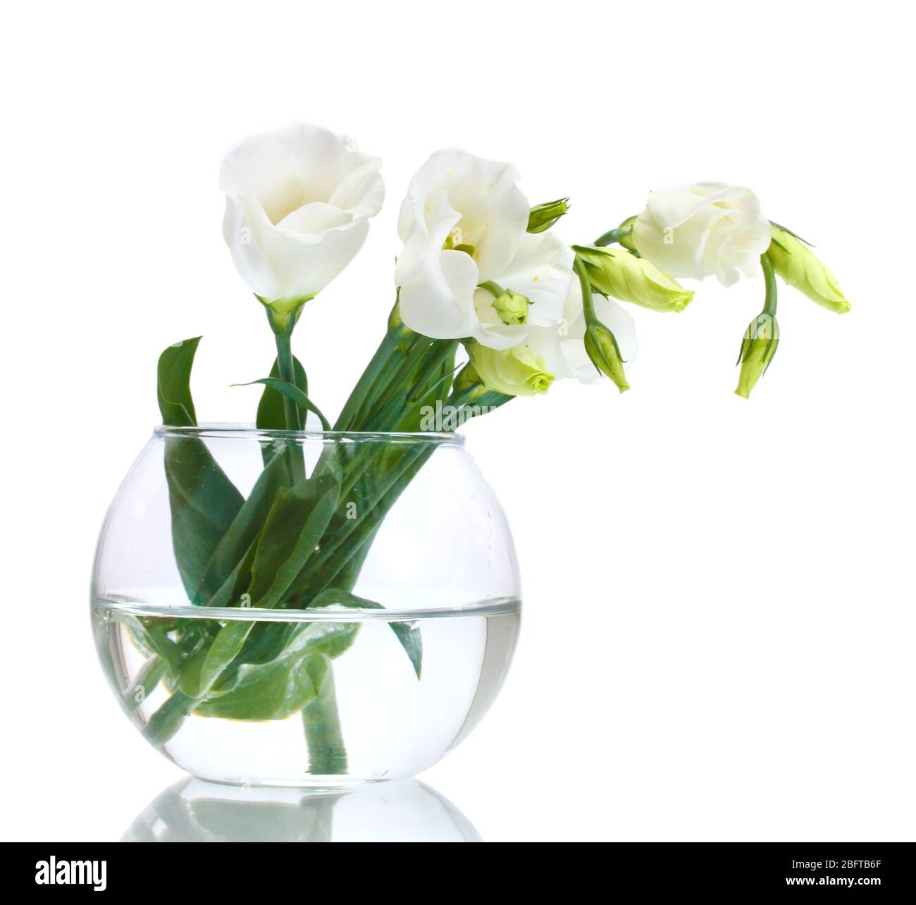 beautiful spring flowers in vase isolated on white Stock Photo - Alamy