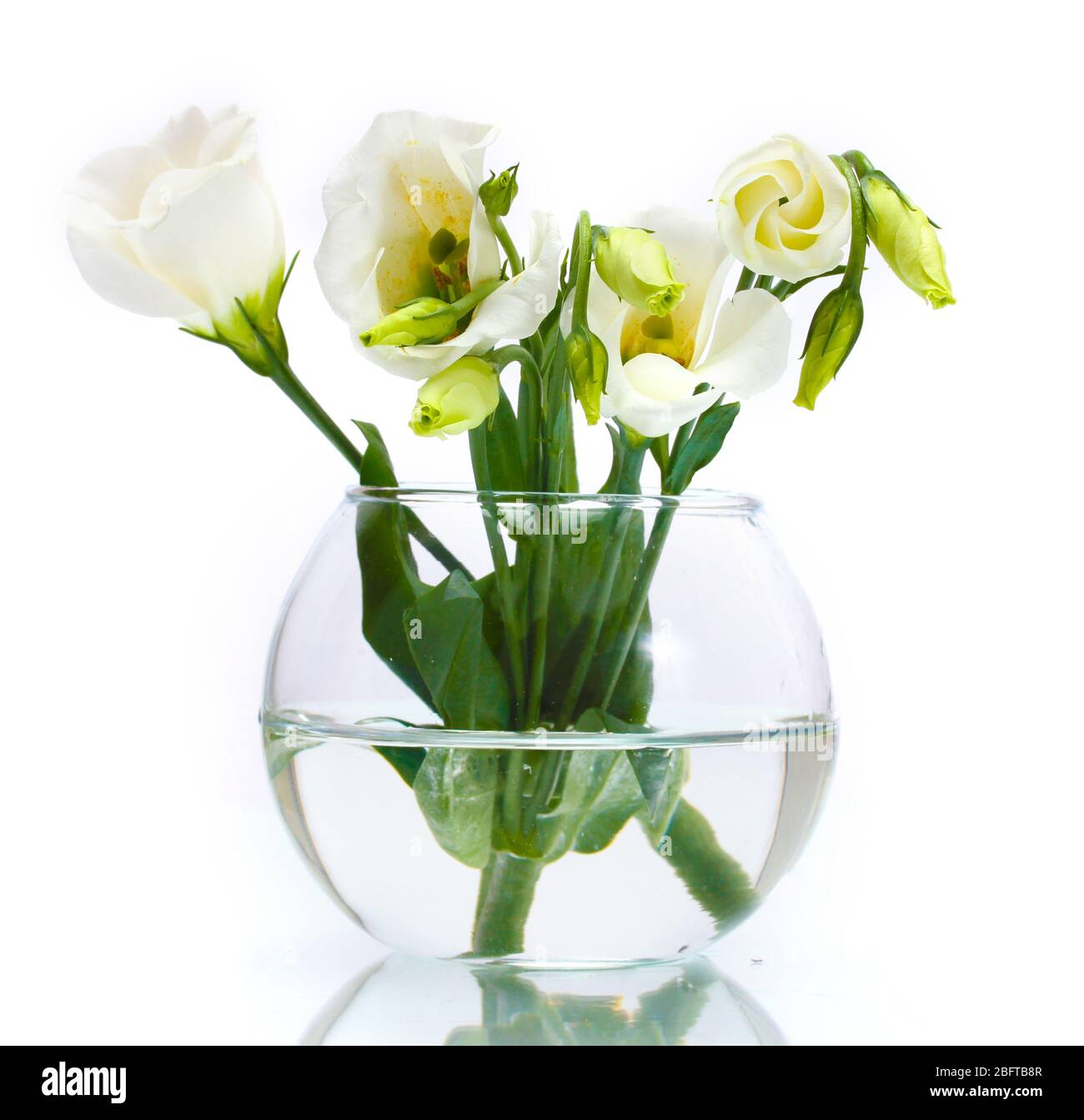 beautiful spring flowers in vase isolated on white Stock Photo - Alamy