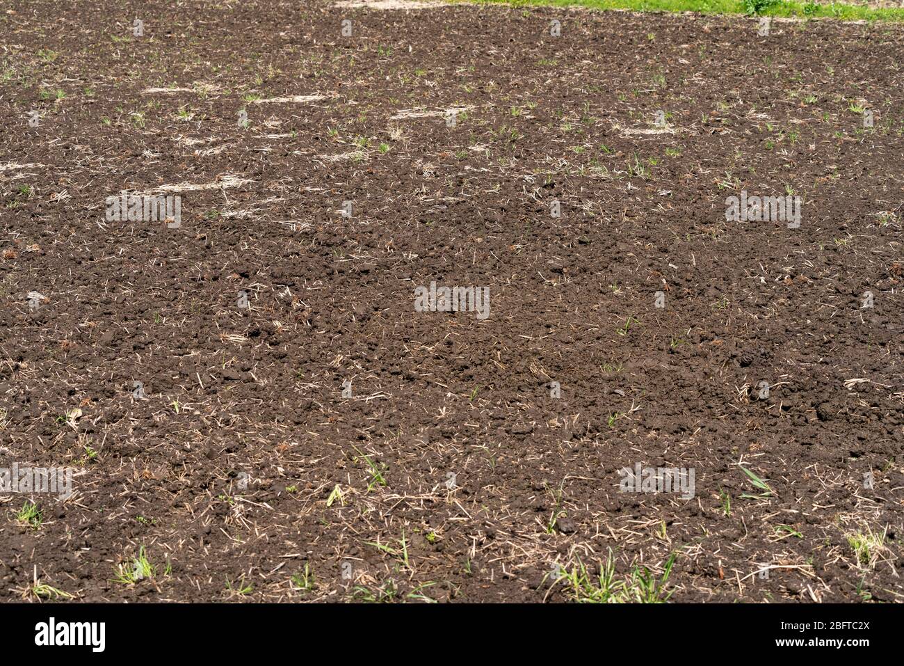 Rice field in April, Isehara City, Kanagawa Prefecture, Japan Stock ...