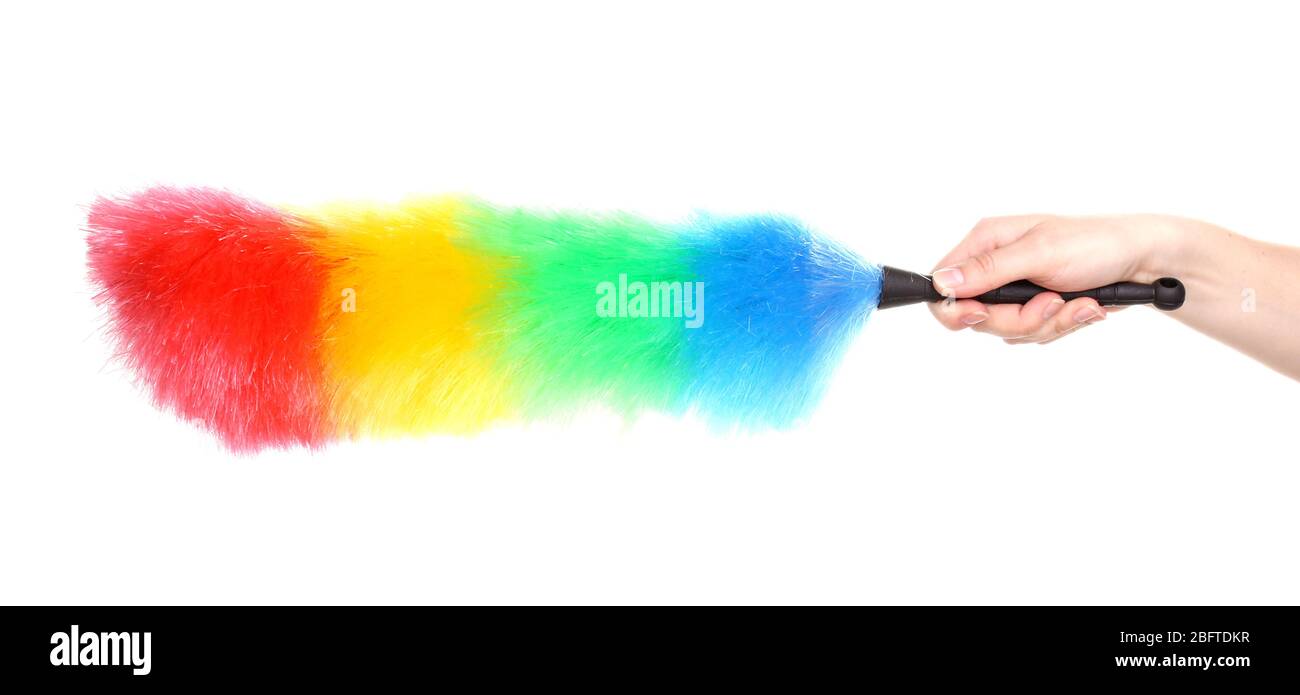 Feather duster hand hi-res stock photography and images - Alamy