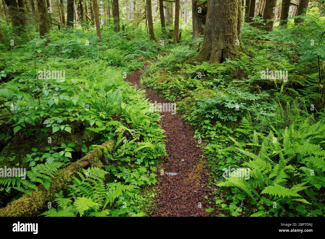 Whatcom county park hi-res stock photography and images - Alamy