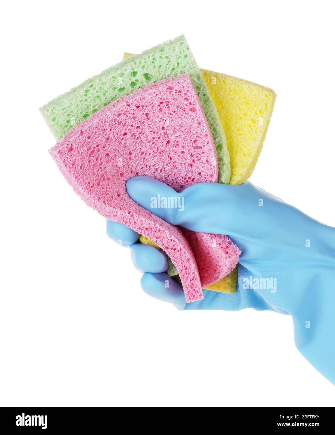 Vivid sponges hi-res stock photography and images - Alamy