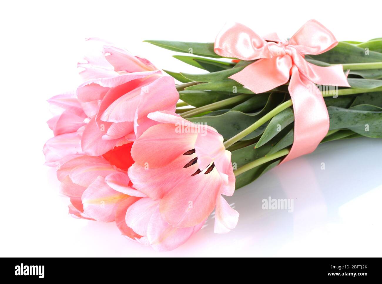 beautiful pink tulips isolated on white Stock Photo - Alamy