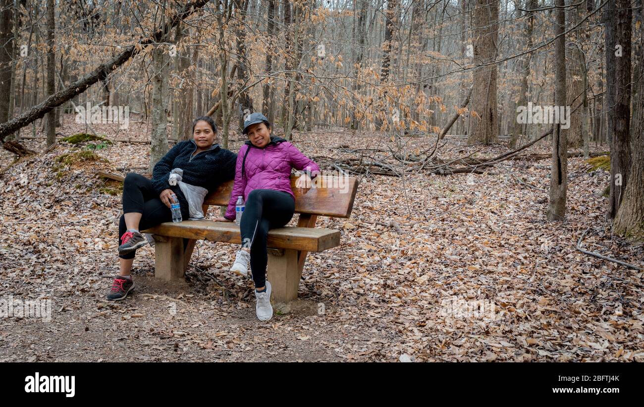 Bench in the woods hi-res stock photography and images - Alamy