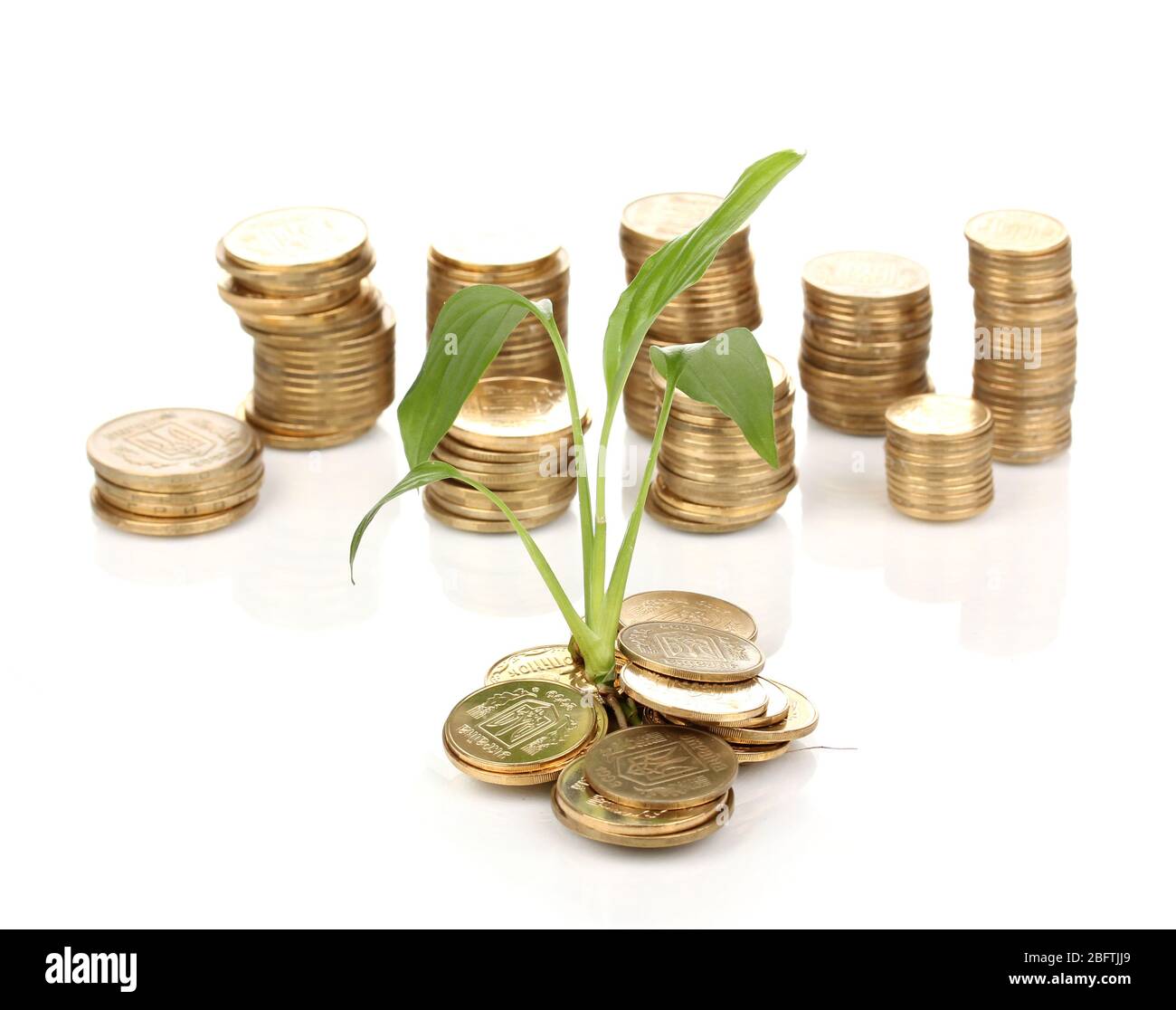 Tree golden coins on Cut Out Stock Images & Pictures - Alamy