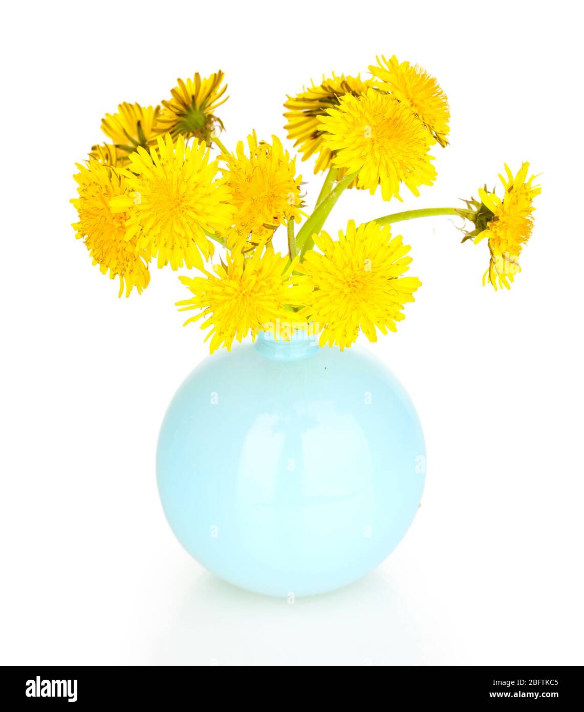 Dandelion flowers in vase isolated on white Stock Photo - Alamy