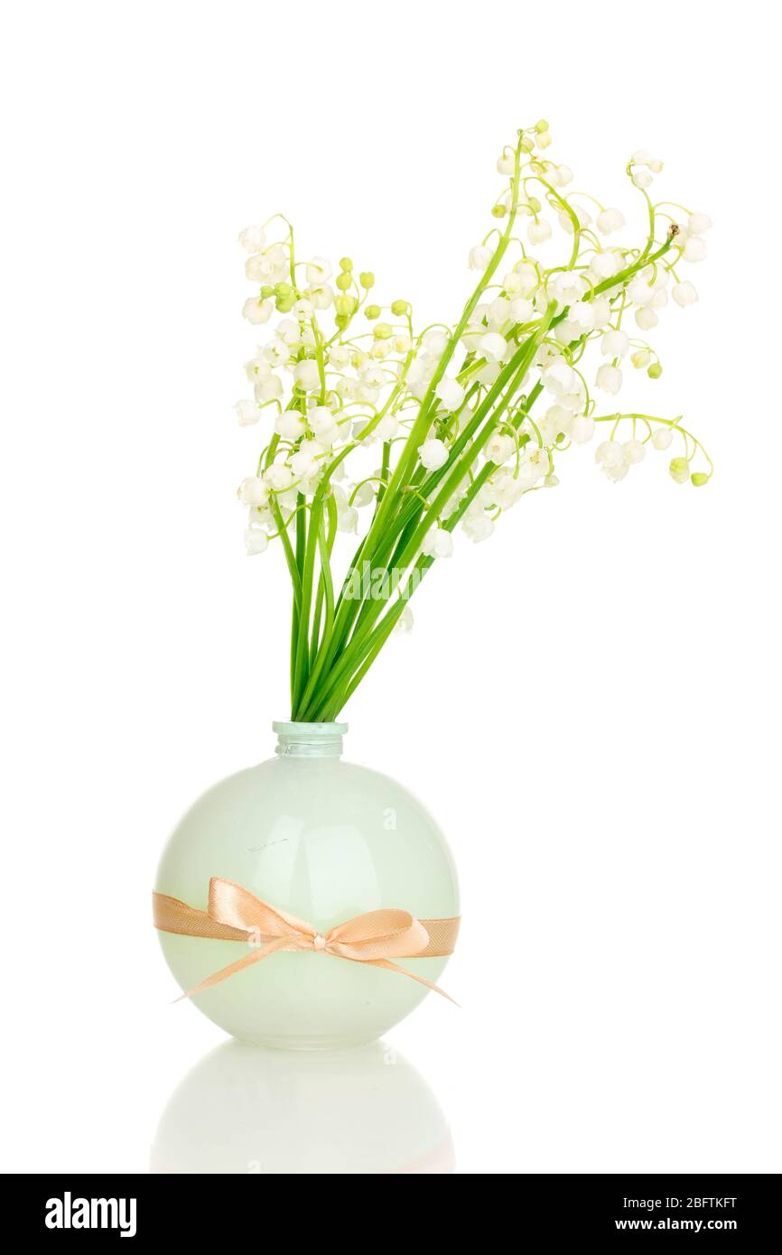 May-lilies in vase isolated on white Stock Photo - Alamy