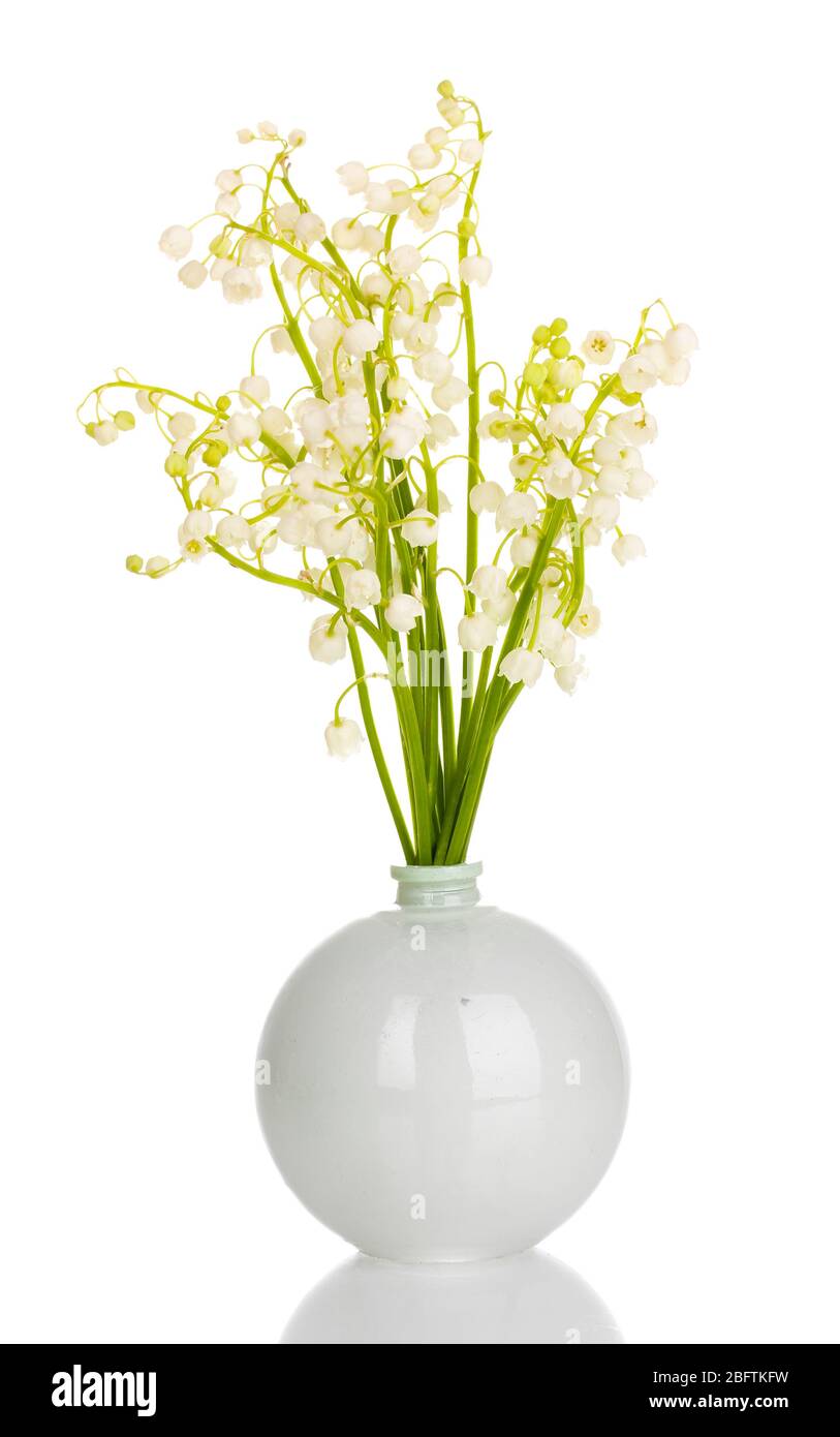 May-lilies in vase isolated on white Stock Photo - Alamy