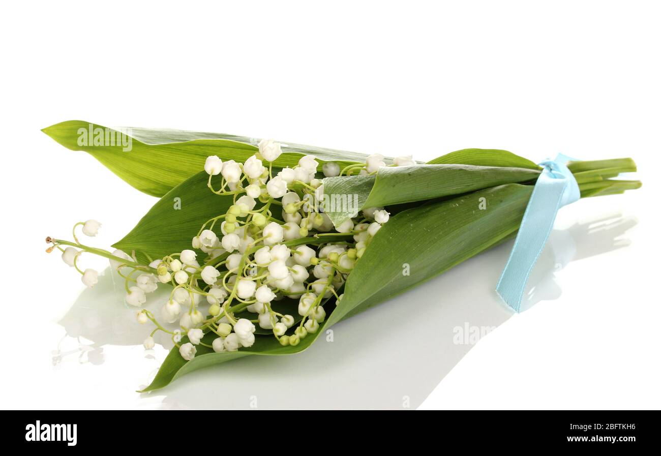 Bouquet of may-lilies isolated on white Stock Photo - Alamy