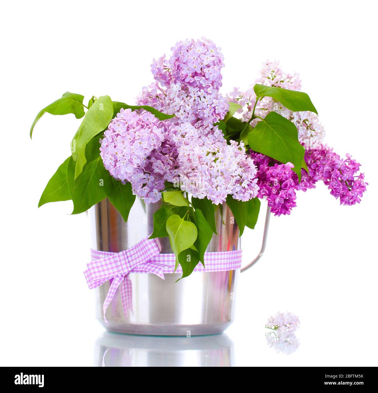 beautiful lilac flowers in metal bucket isolated on white Stock Photo ...
