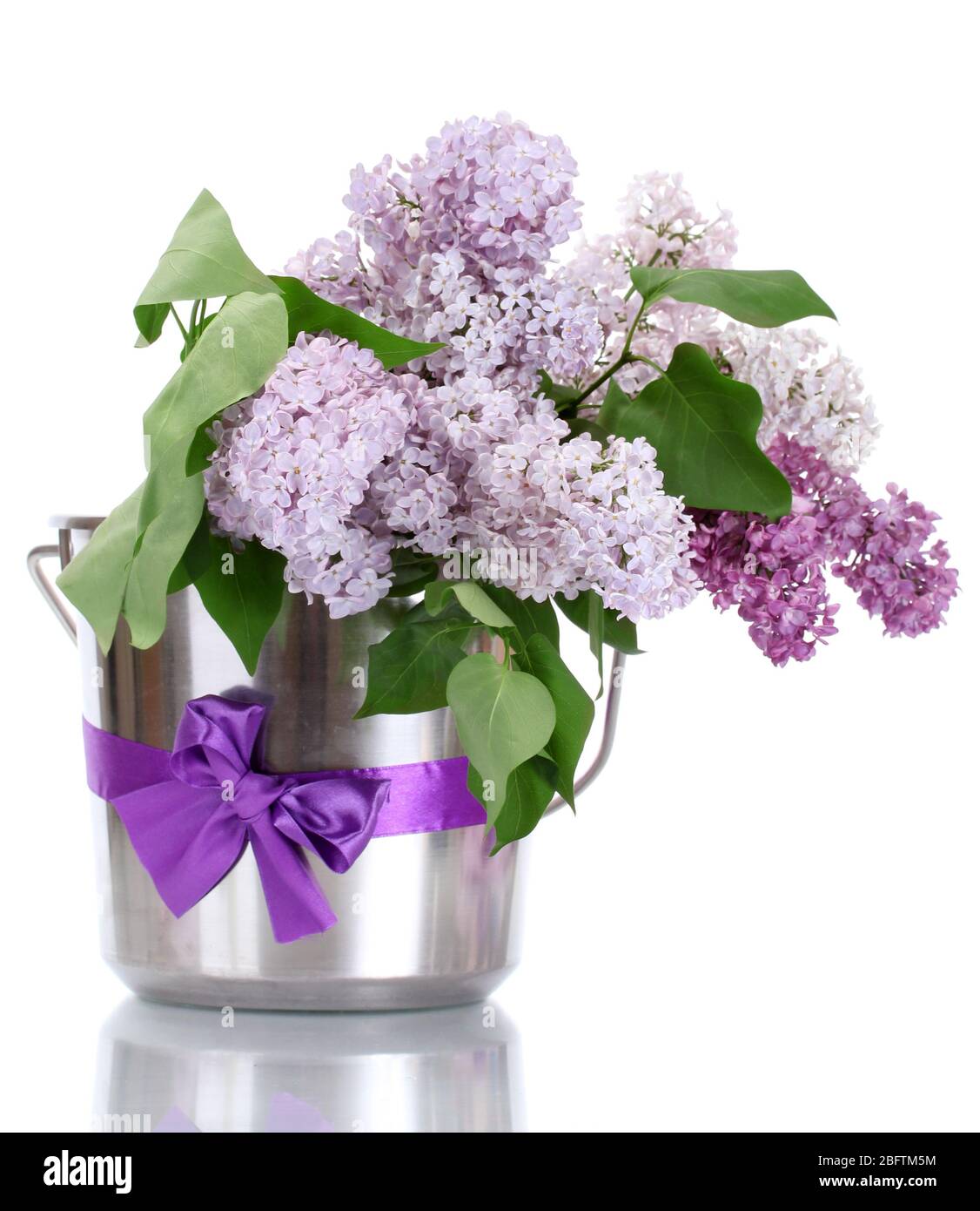 beautiful lilac flowers in metal bucket isolated on white Stock Photo ...