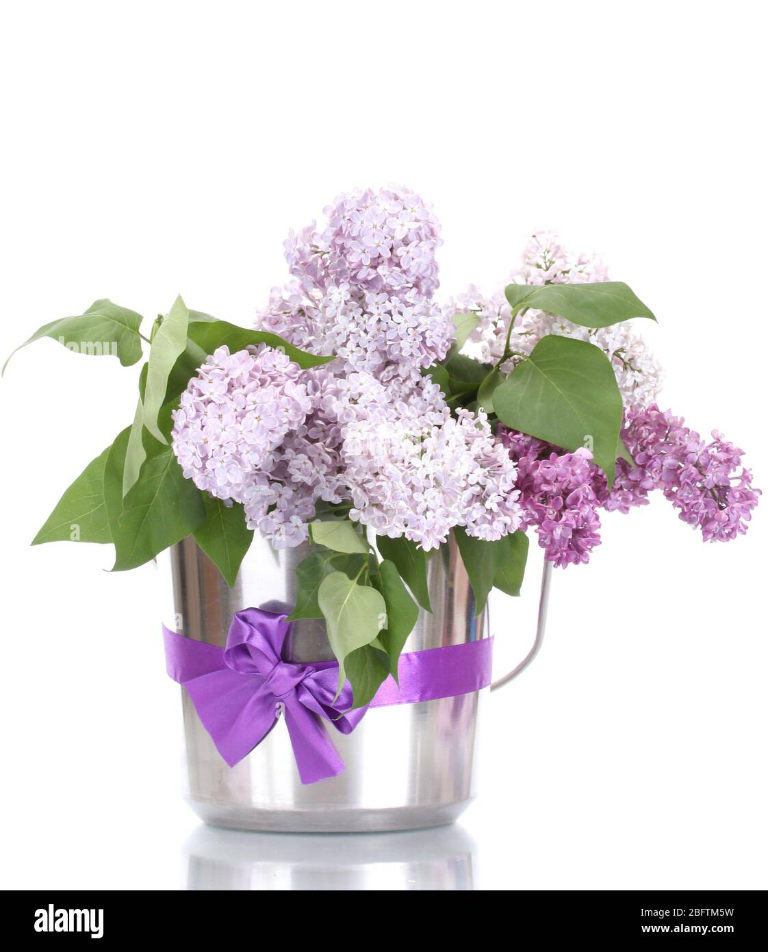 beautiful lilac flowers in metal bucket isolated on white Stock Photo ...