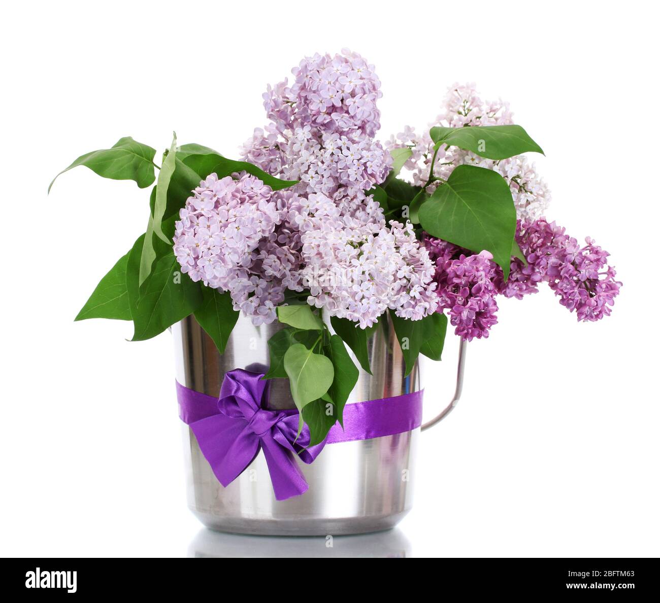 beautiful lilac flowers in metal bucket isolated on white Stock Photo ...