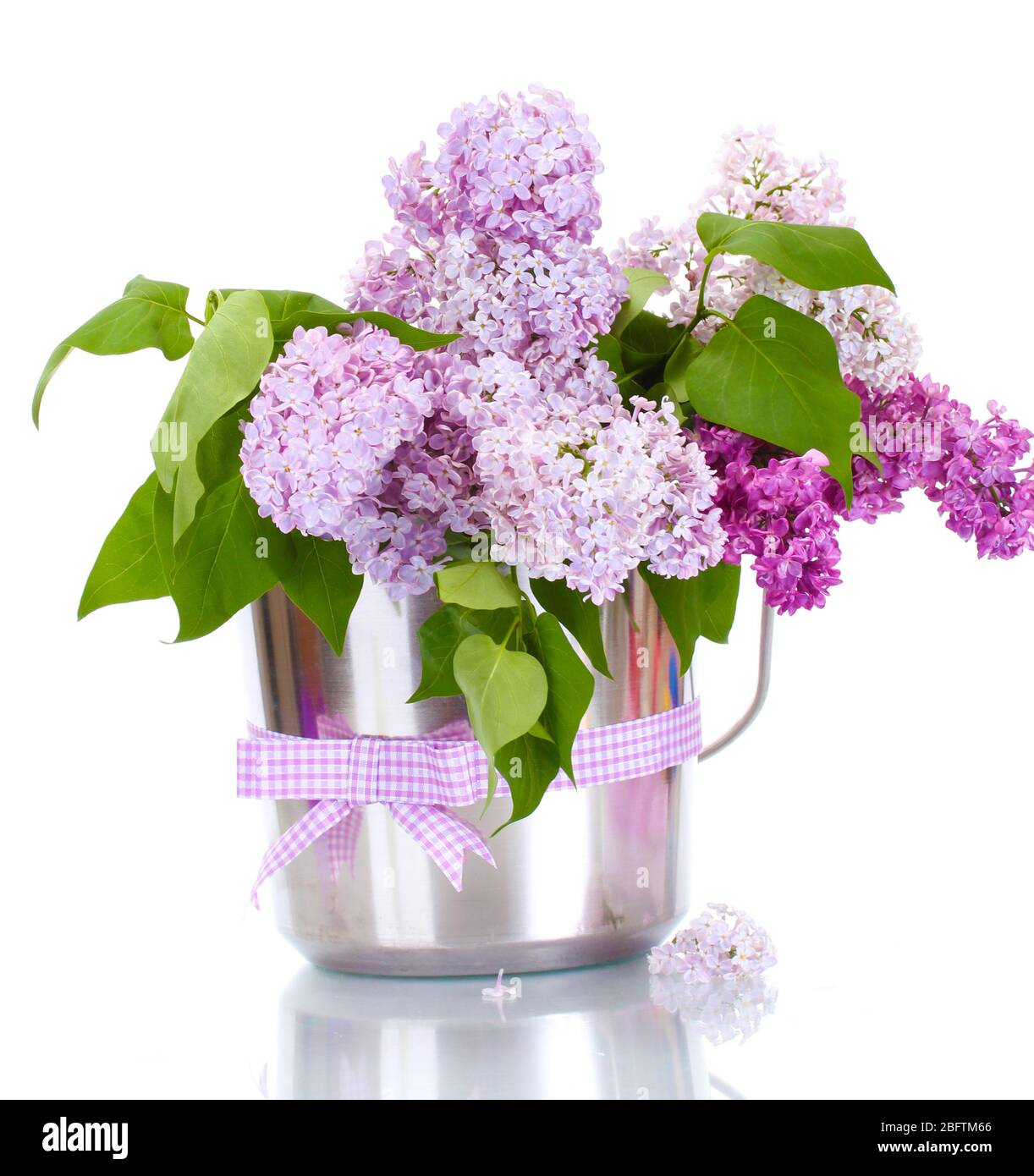 beautiful lilac flowers in metal bucket isolated on white Stock Photo ...