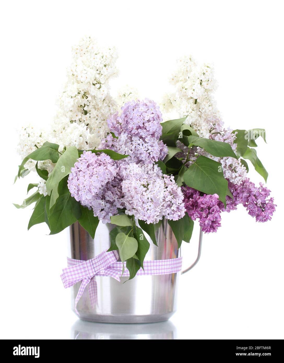 beautiful lilac flowers in metal bucket isolated on white Stock Photo ...