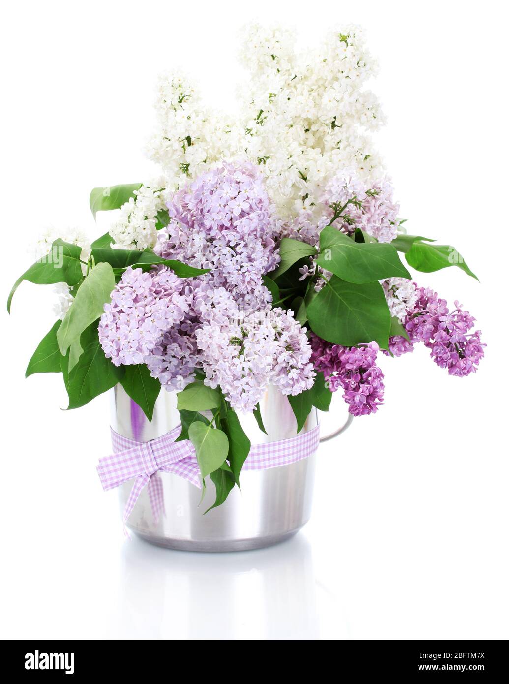 beautiful lilac flowers in metal bucket isolated on white Stock Photo ...