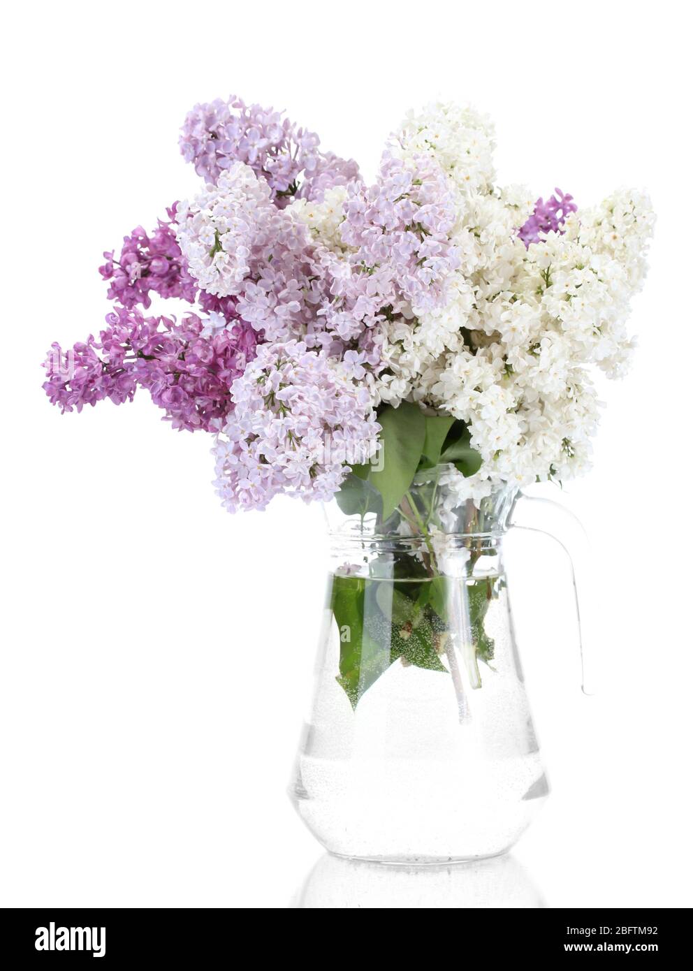 beautiful lilac flowers in glass jar isolated on white Stock Photo - Alamy