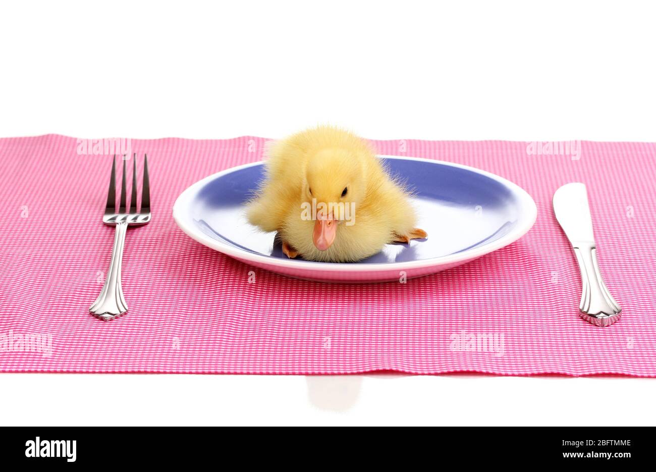 Duckling and table setting isolated on white Stock Photo - Alamy