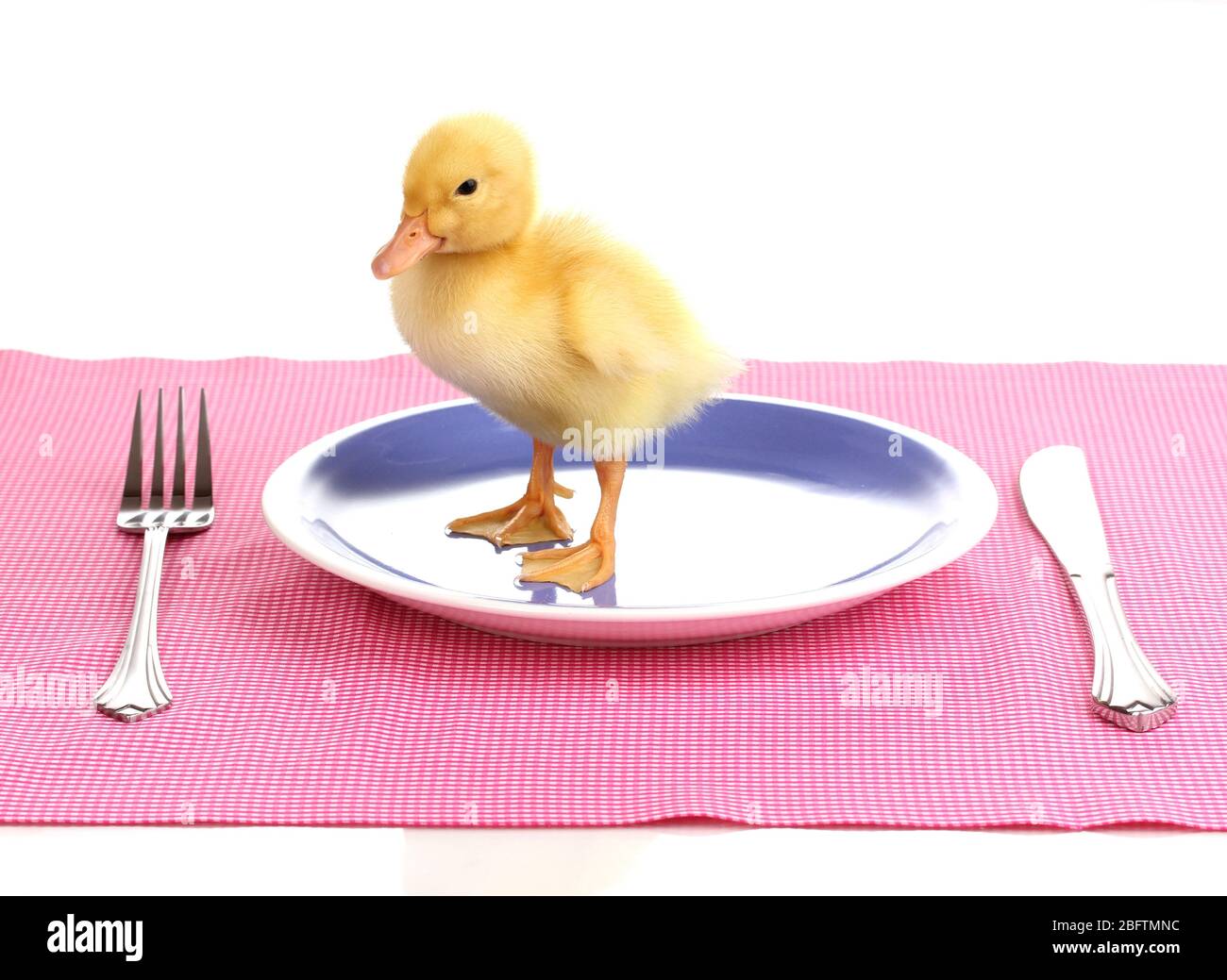 Duckling and table setting isolated on white Stock Photo - Alamy
