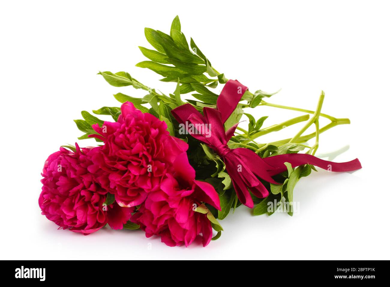 beautiful pink peonies with bow isolated on white Stock Photo - Alamy