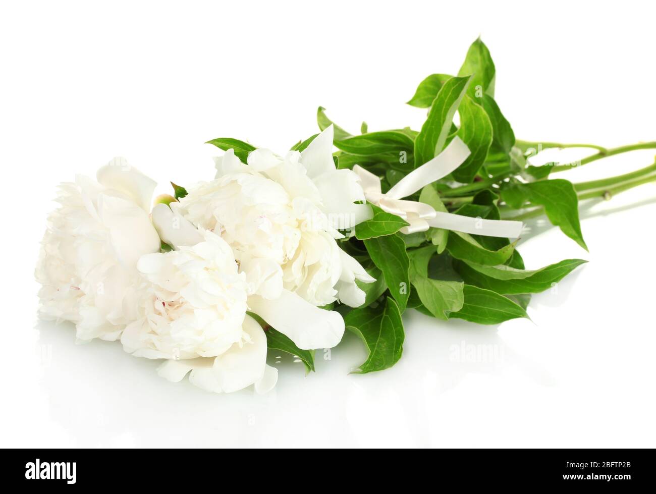 beautiful peonies with bow isolated on white Stock Photo - Alamy