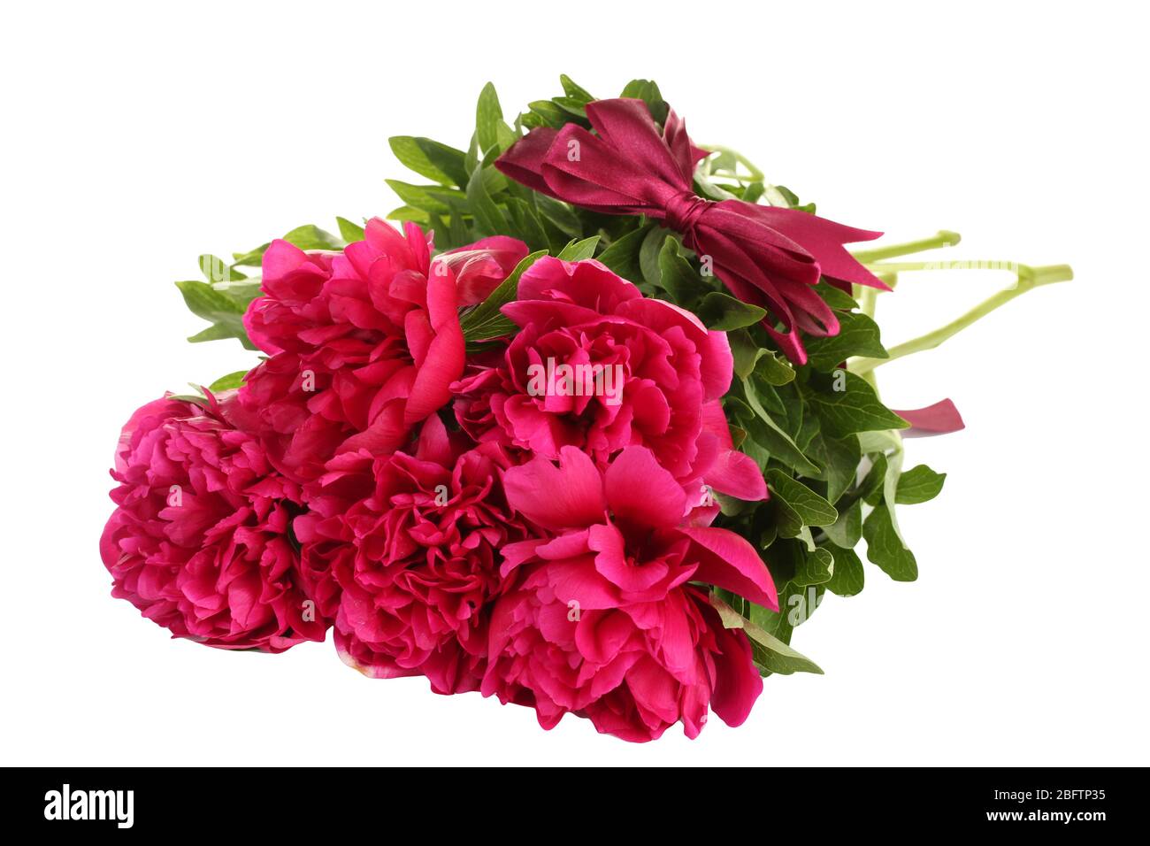 beautiful pink peonies with bow isolated on white Stock Photo - Alamy
