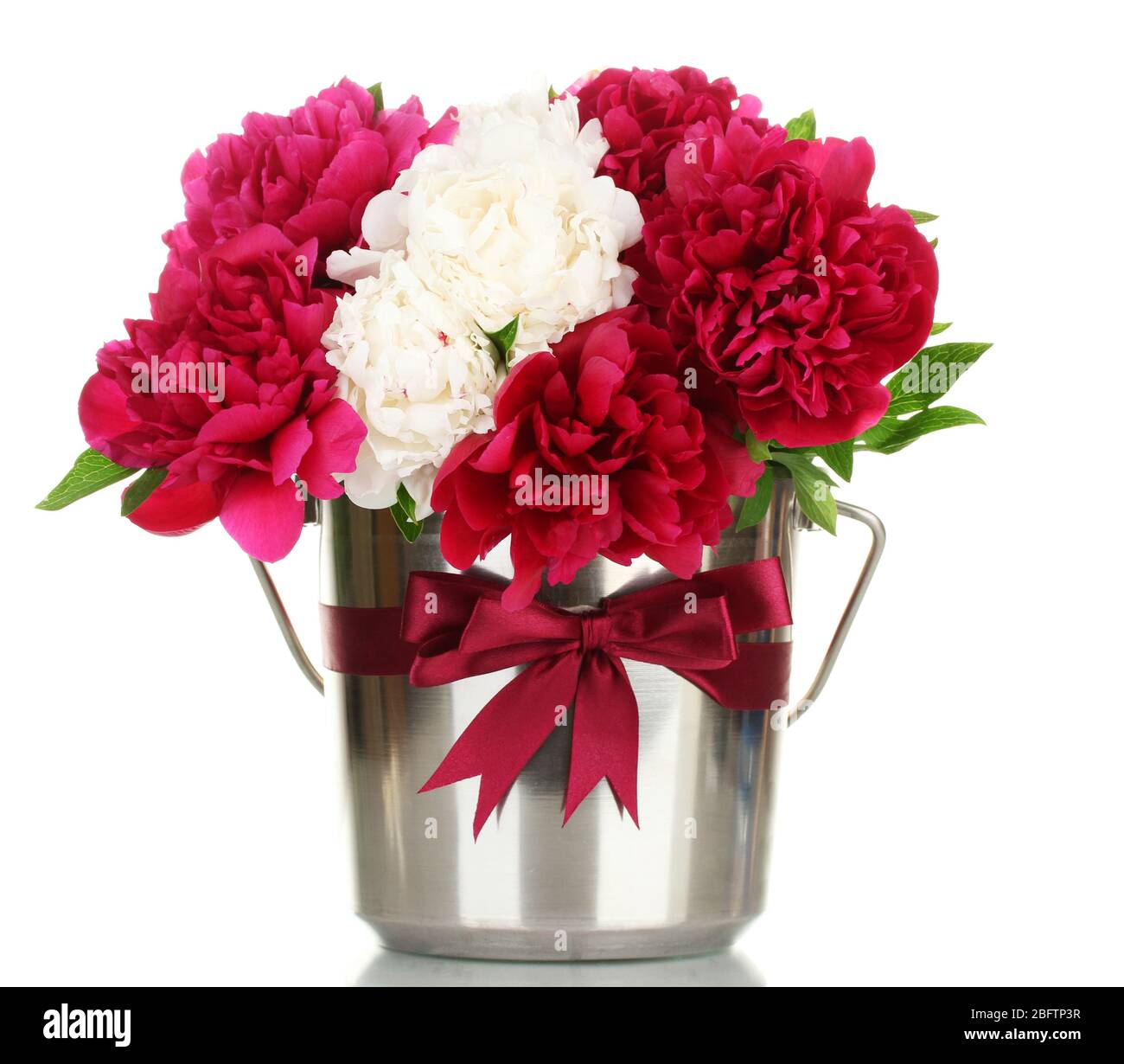 beautiful pink and white peonies in bucket with bow isolated on white ...