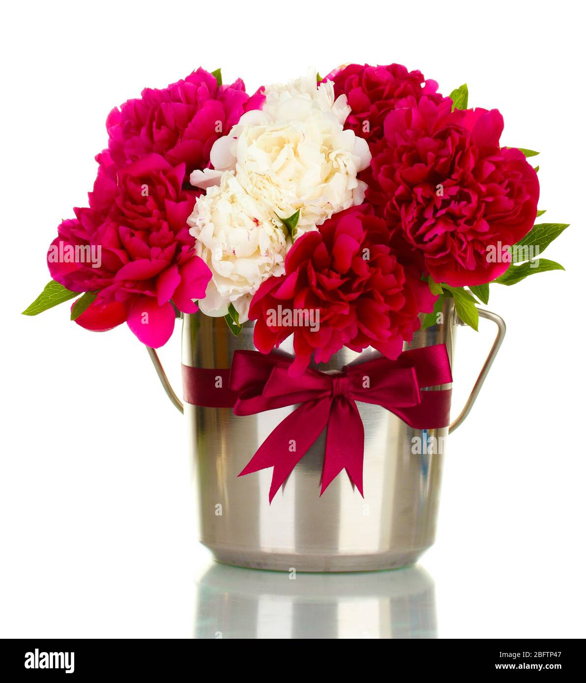 beautiful pink and white peonies in bucket with bow isolated on white ...