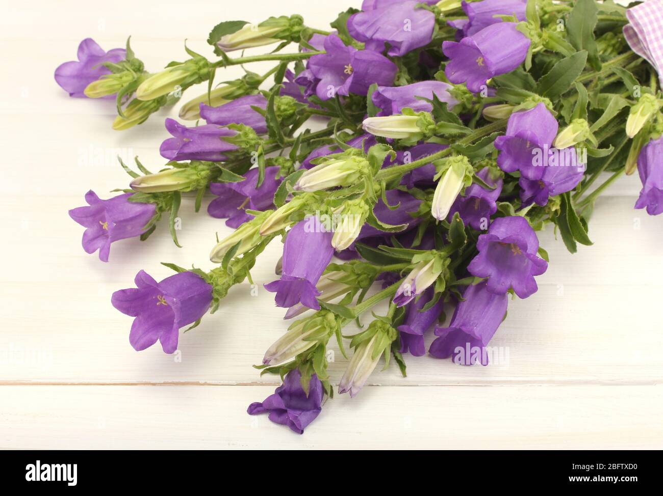 blue bell flowers on white wooden background Stock Photo - Alamy