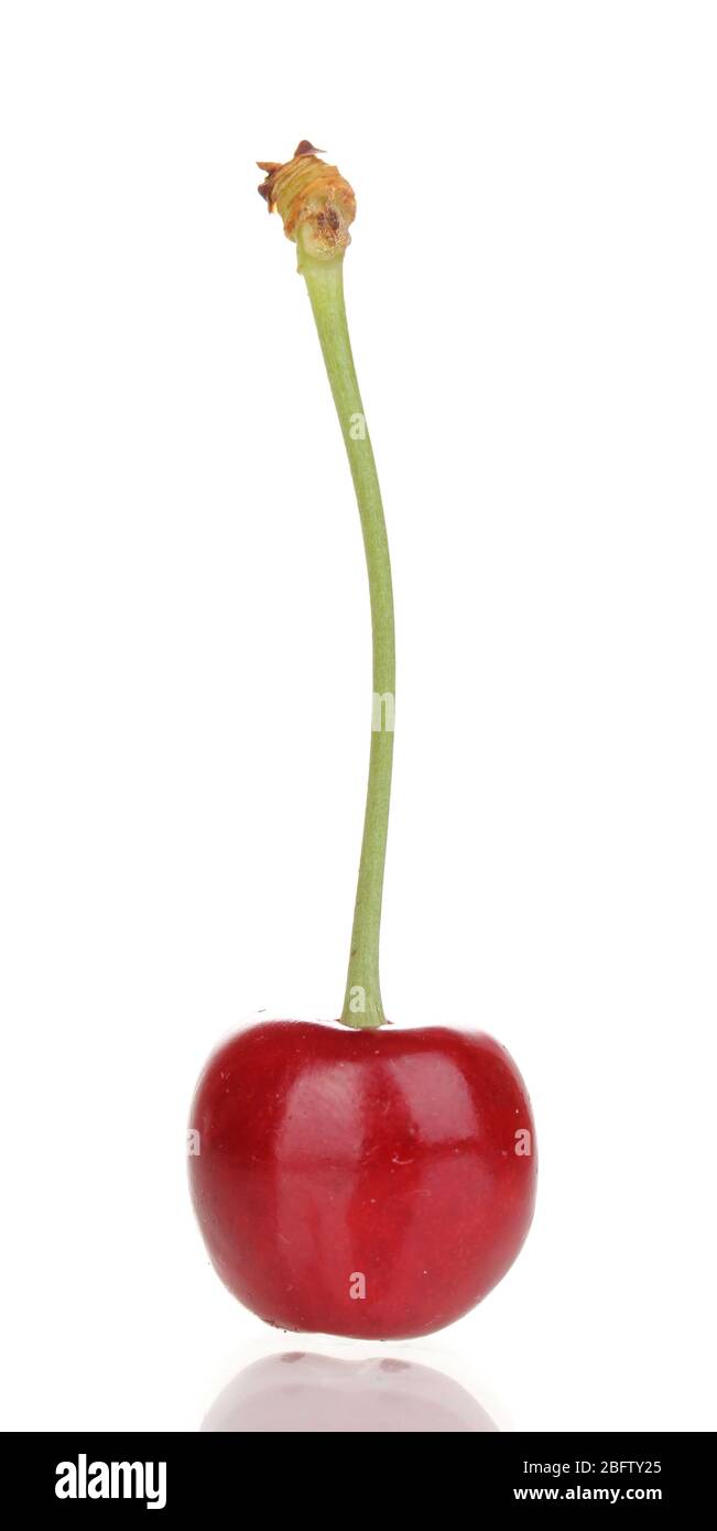 Ripe cherry berry isolated on white Stock Photo - Alamy