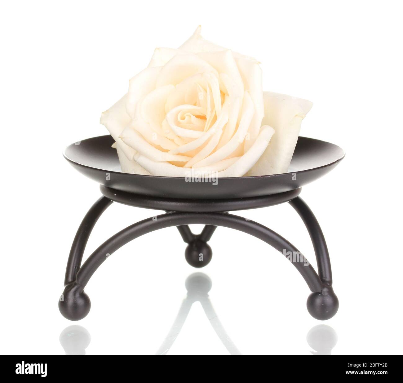 Metal plant stand Cut Out Stock Images & Pictures - Alamy