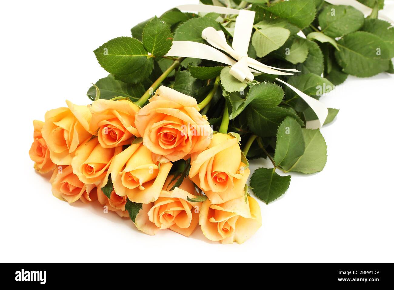 beautiful bouquet of roses isolated on white Stock Photo - Alamy