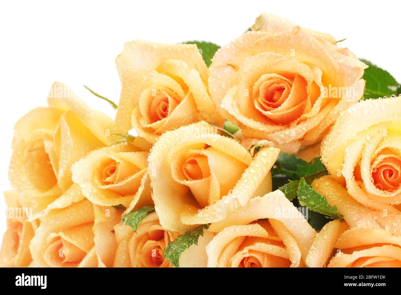 beautiful bouquet of roses isolated on white Stock Photo - Alamy
