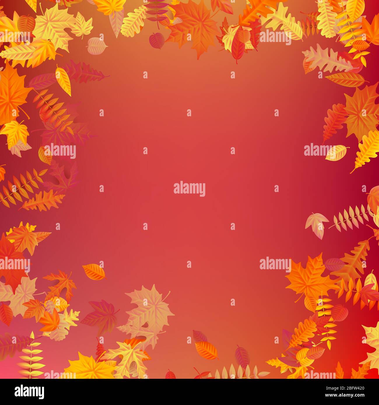 Autumn template layout decorate with leaves. EPS 10 Stock Vector Image ...