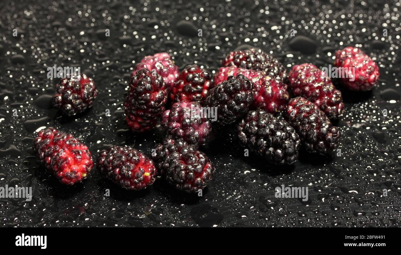 wet mulberries on black background close-up Stock Photo - Alamy