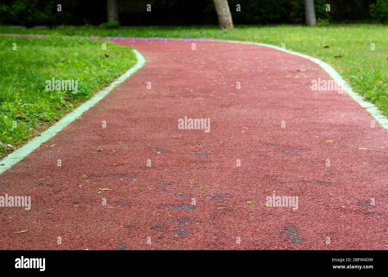 Walkway in park Stock Photo - Alamy