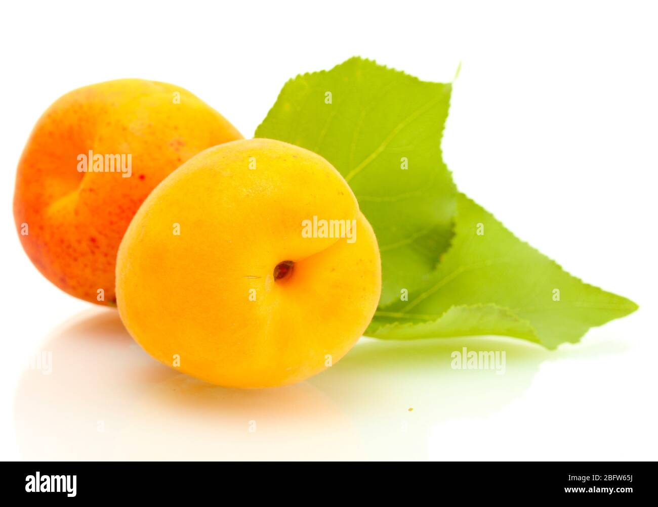 ripe sweet apricots with green leaves isolated on white Stock Photo - Alamy