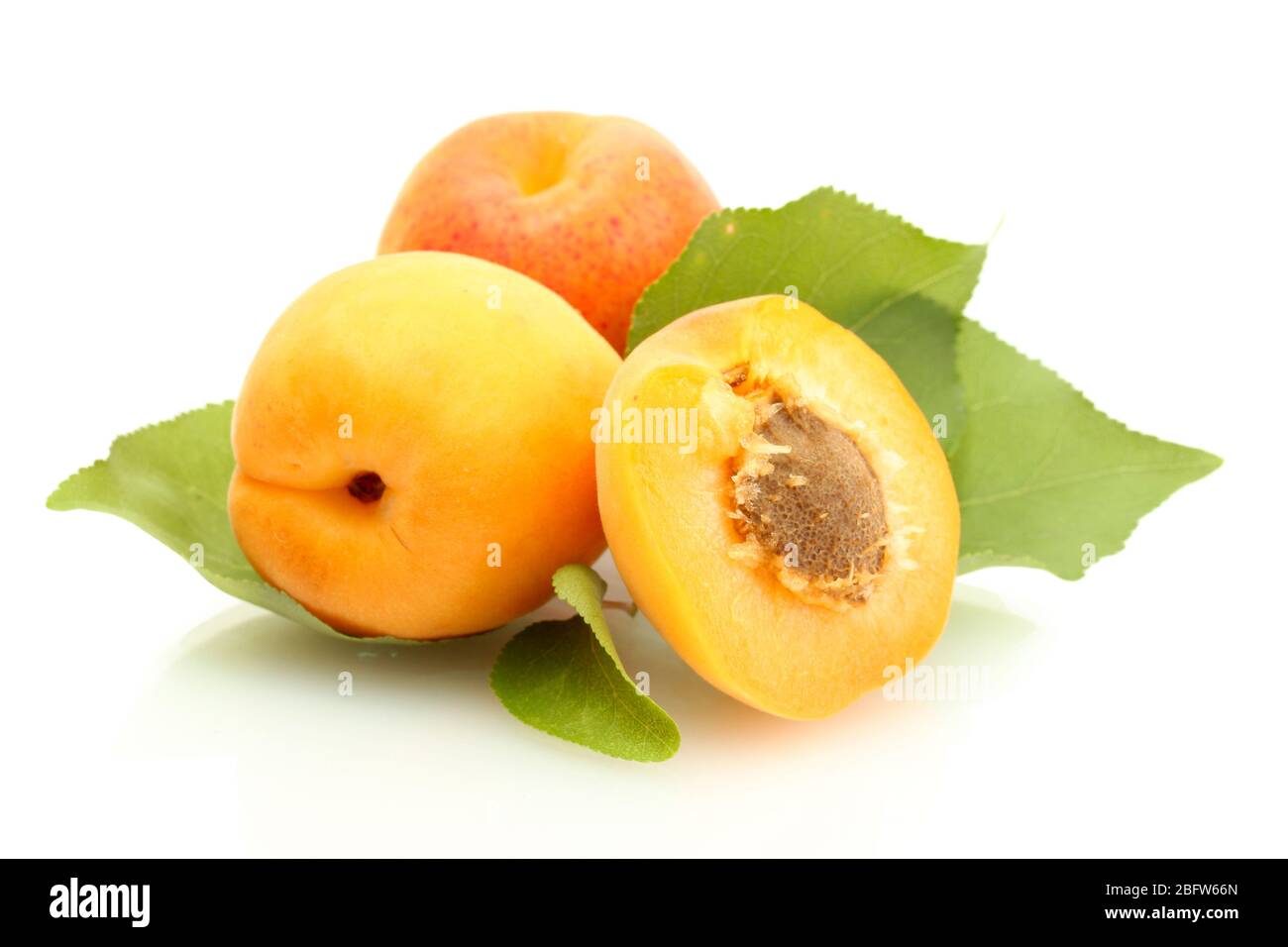 ripe sweet apricots with green leaves isolated on white Stock Photo - Alamy